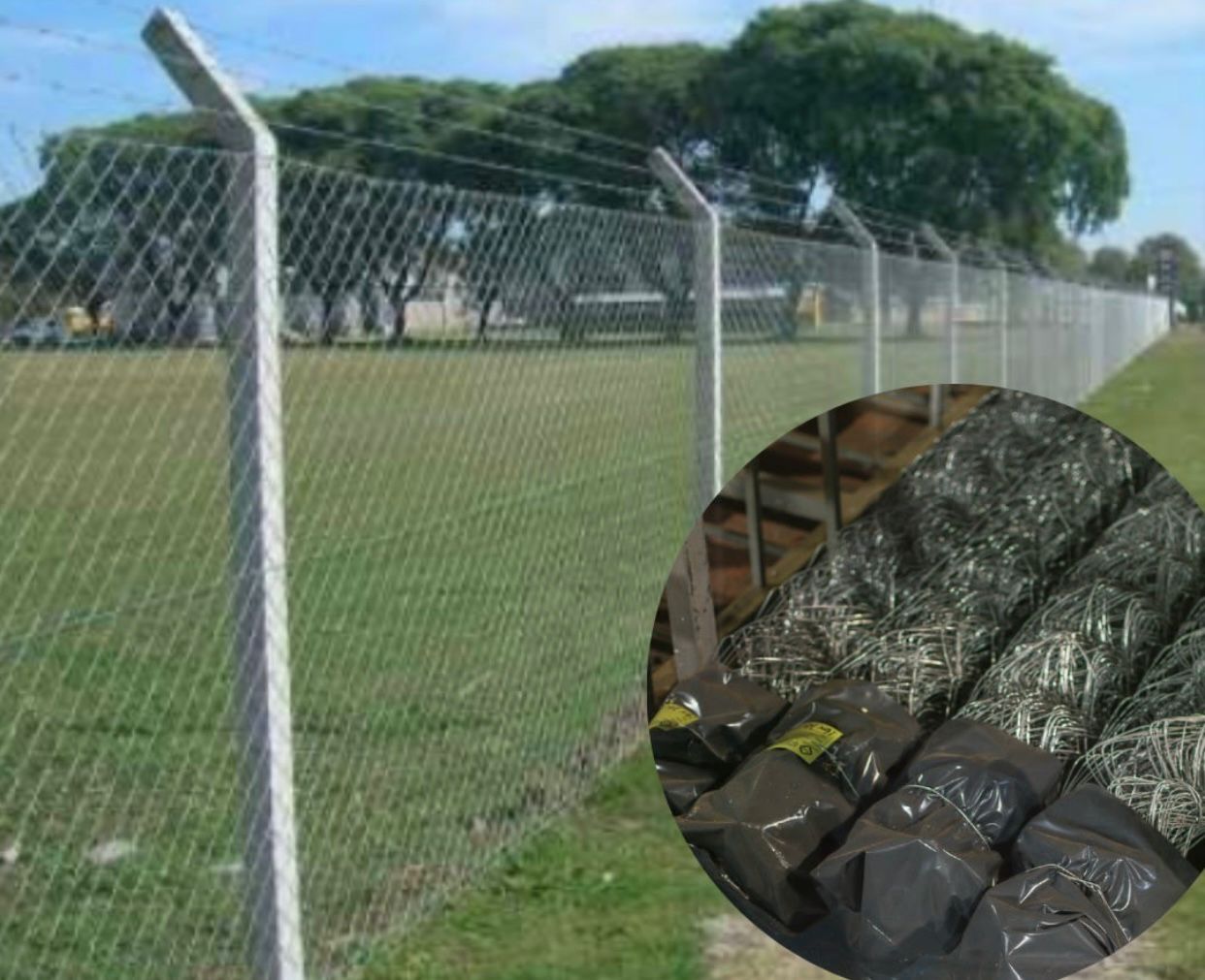 TEJIDO ROMBOIDAL 1663180